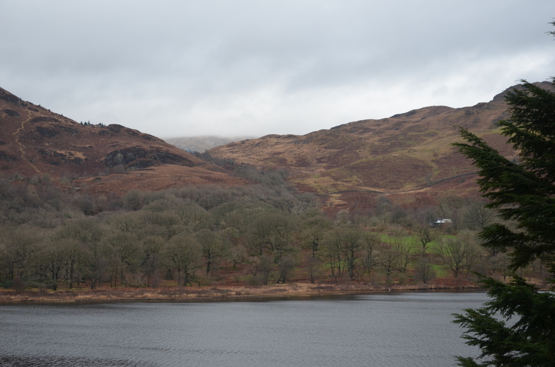 Walk around Loch Trool, Galloway Forest Park, Scotland – Our Lake ...