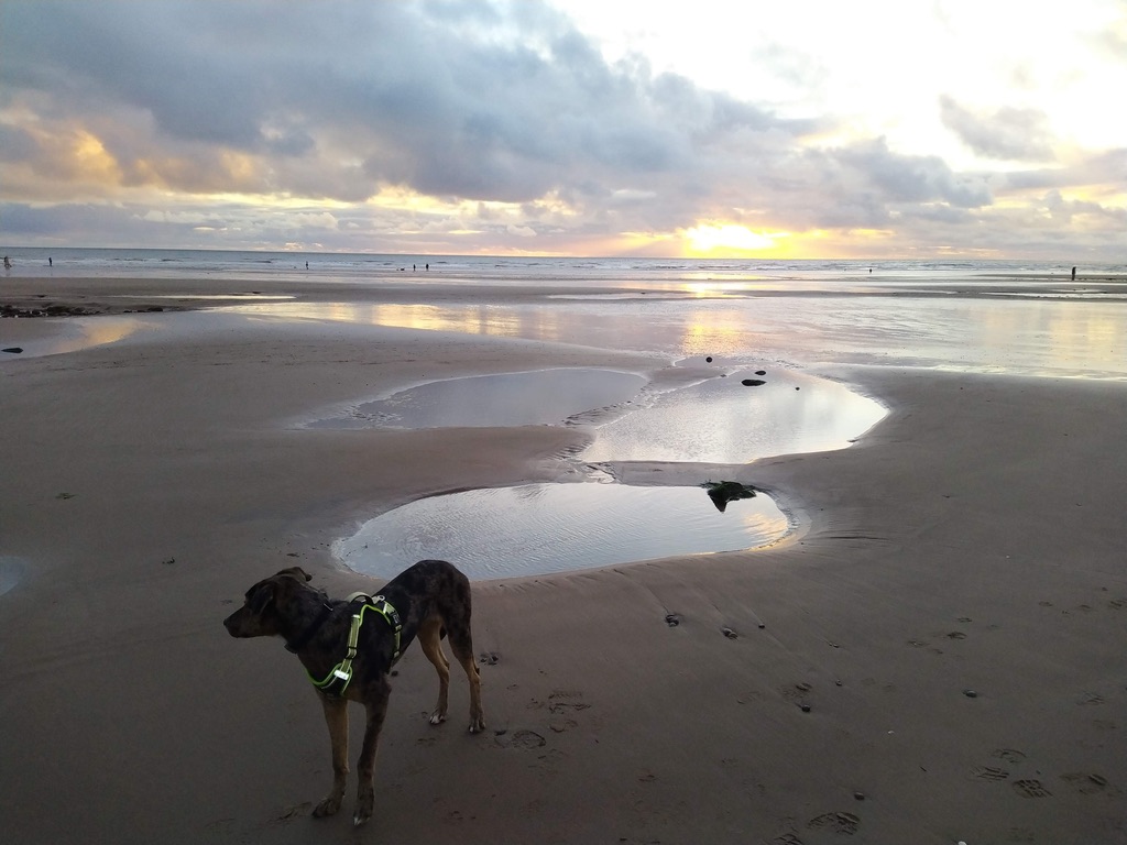 Four walks to discover the beauty of St Bees beach – Cumbria, England ...