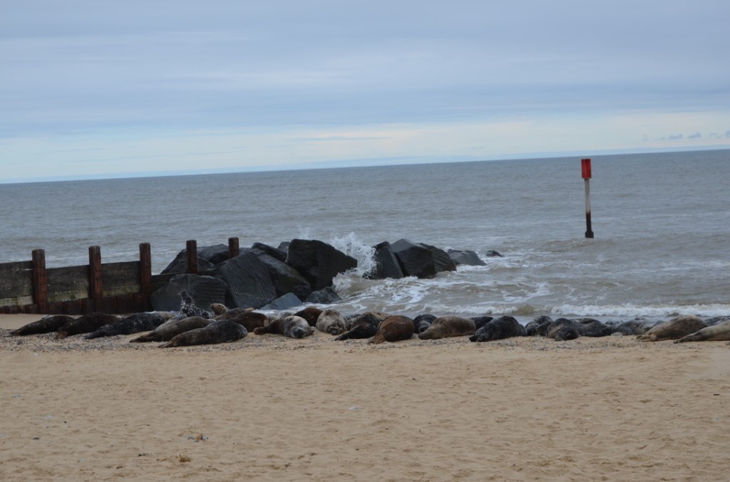 Walk Horsey Windpump to Horsey Gap – Norfolk, England – Our Lake ...