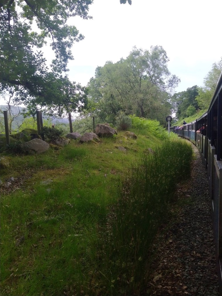 Adventure on the ‘La’al Ratty Ravenglass to Eskdale train – Cumbria ...