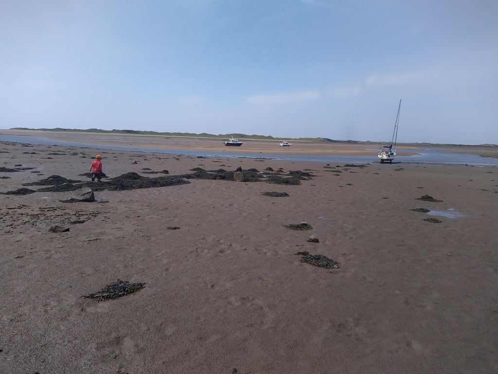 The La’al Ratty: Ravenglass to Eskdale Steam Train | Family & Dog ...