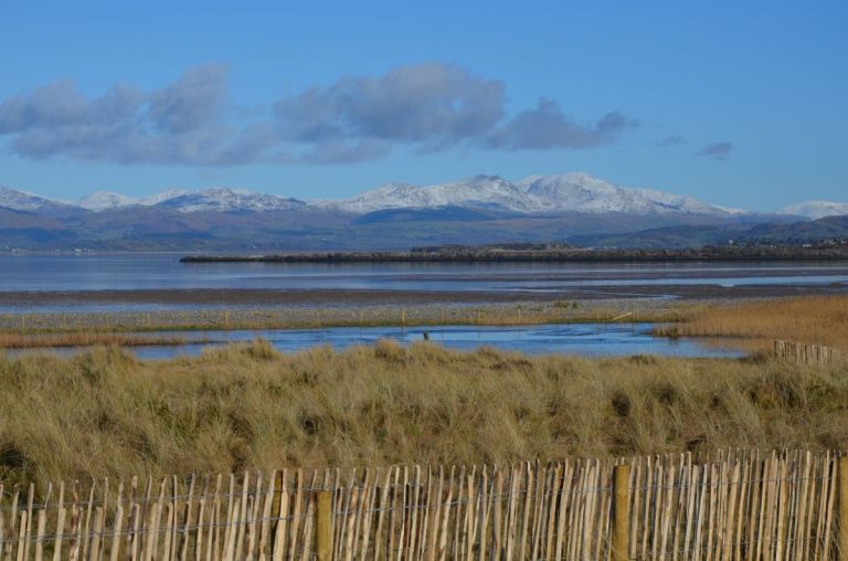 Sandscale Haws: Dunes & Rare Wildlife | Family & Dog-Friendly Walking ...